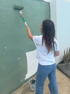 Cómo pintar con rodillo sin dejar marcas | Chalk Paint De Tiza