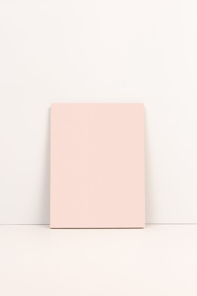 Pintura Pared Matte Wall Rosa Nude | Detiza